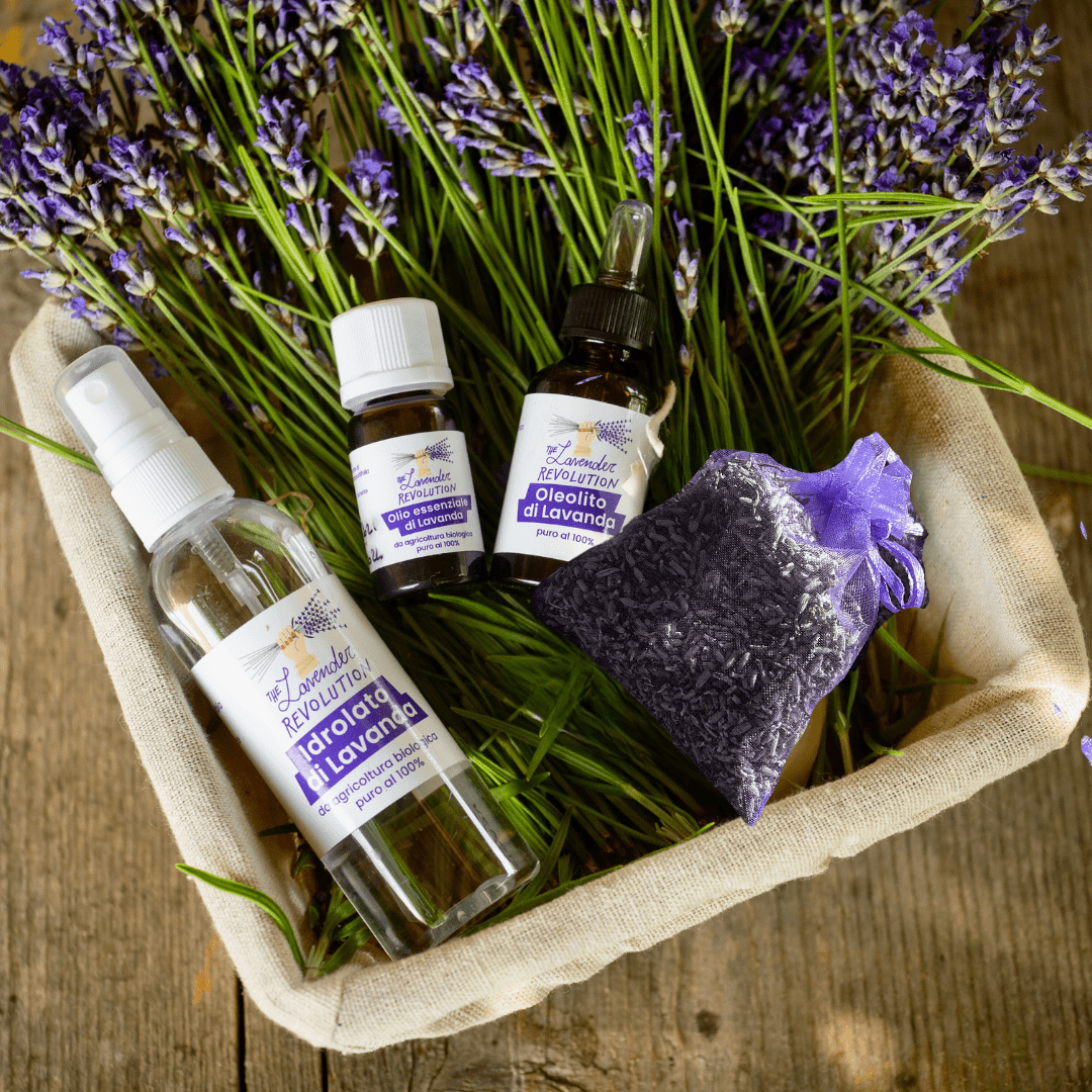 Mini Lavander Box